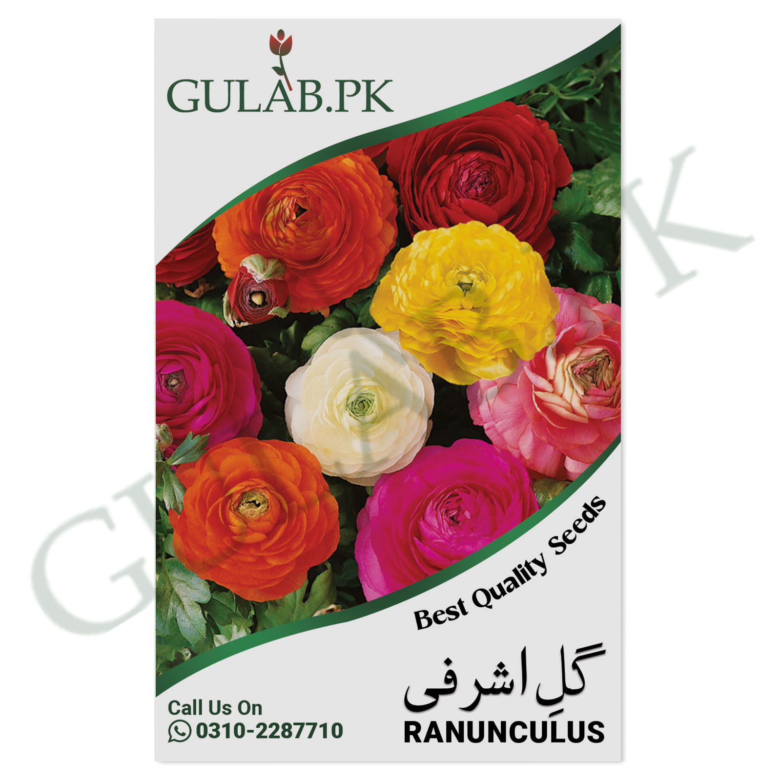 RANUCULUS SPRING & WINTER SEEDS | Gulab.pk